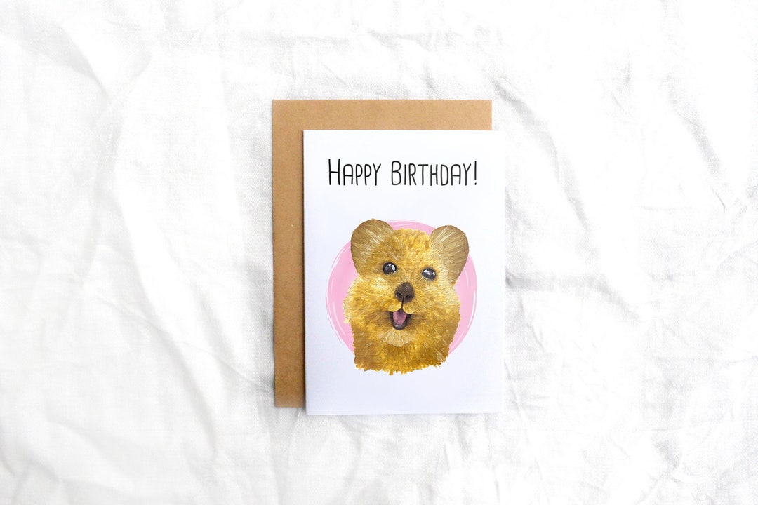 Quokka With Pink Background Oil Painting Australian Animal Greeting ...