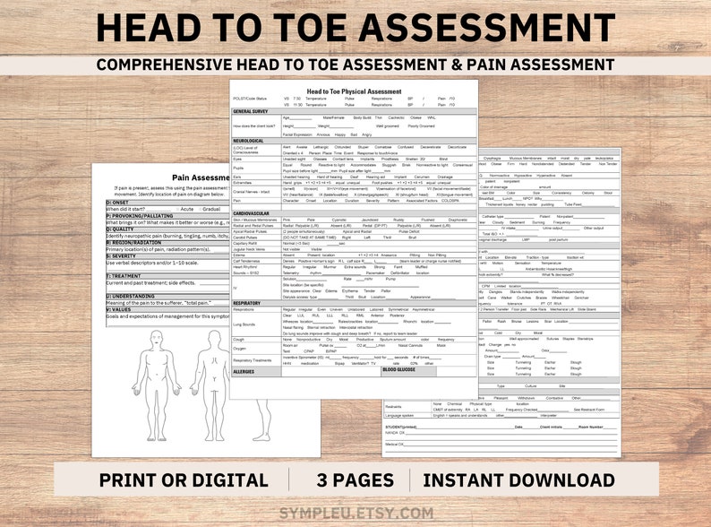 Head-to-toe Assessment Template, Pain Assessment Guide & Checklist ...