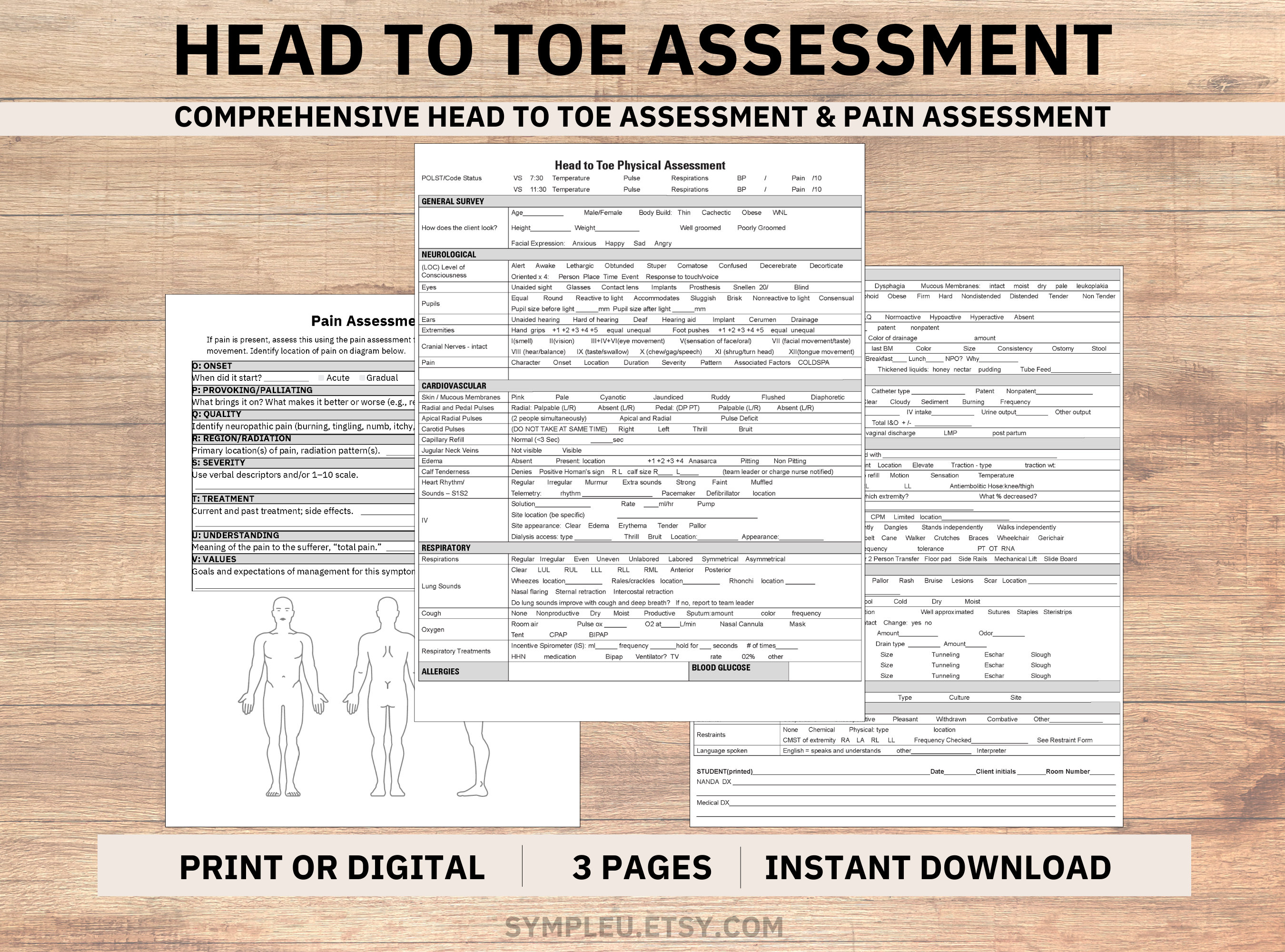 Head-to-toe Assessment Template, Pain Assessment Guide & Checklist ...