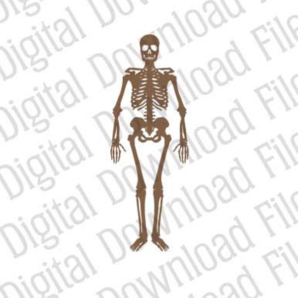 Full Body Skeleton Svg - Etsy