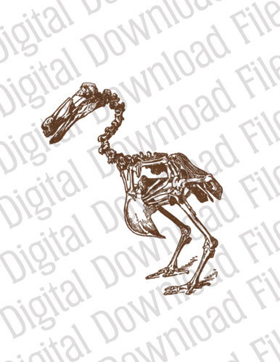 Vector Graphic - DD471 Dodo Skeleton Vector - DIGITAL DOWNLOAD - Ai ...