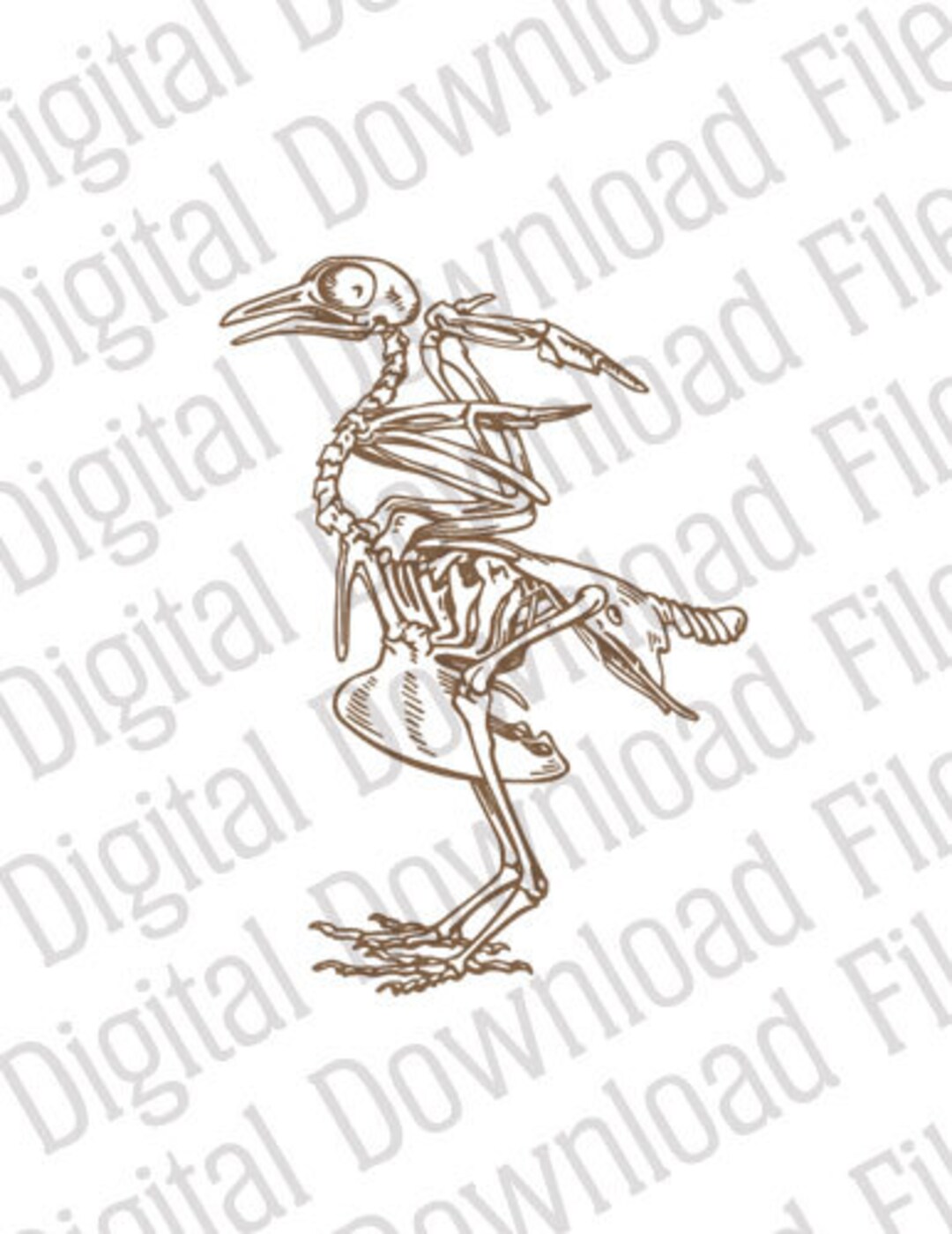 Vector Graphic - DD777 Bird Skeleton Vector - DIGITAL DOWNLOAD - Ai ...