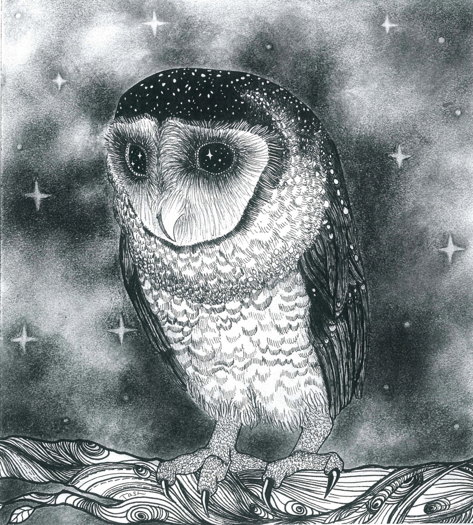 Owl Pen and Ink and Charcoal Drawing - Etsy