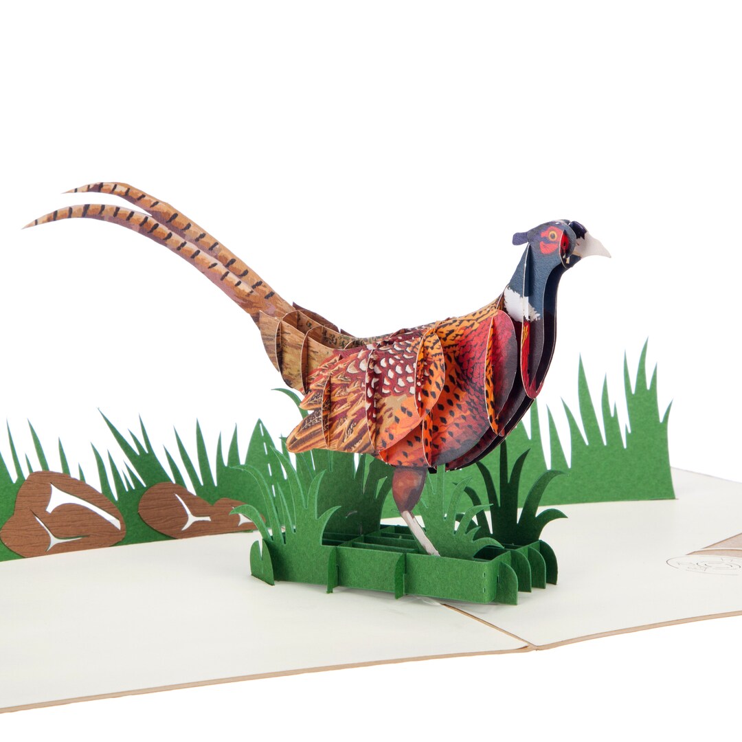 Pheasant Pop up Card | Shooting Gifts for Him, Shooting Greeting Card ...
