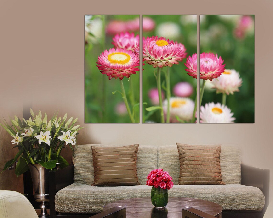3 Panel Canvas Split Field of Daisy Photo Print on Canvas - Etsy