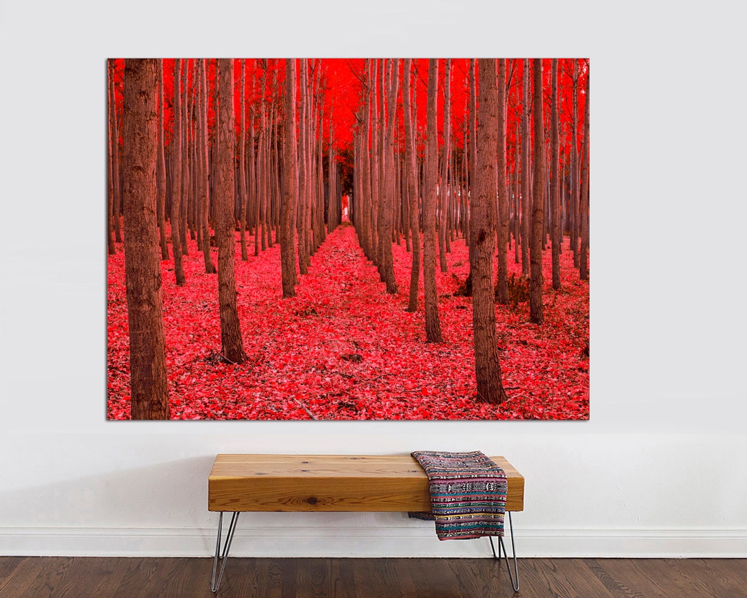 Beautiful Red Tree Park Print,red Leaves Forest Canvas Wall Art ...