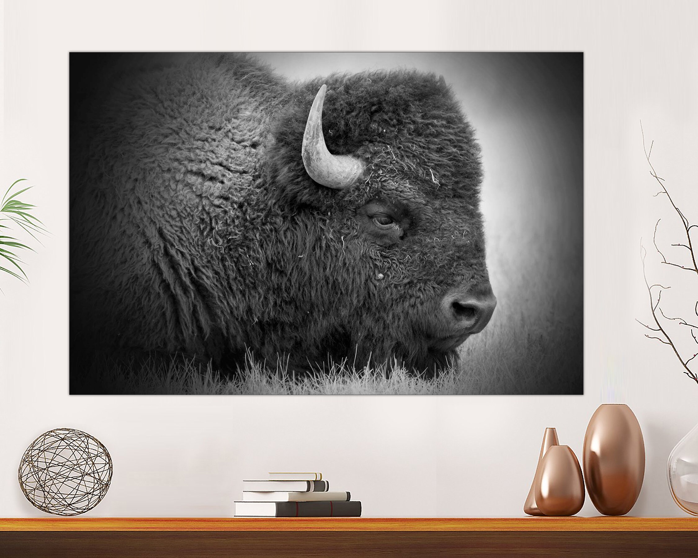 White Bison Art