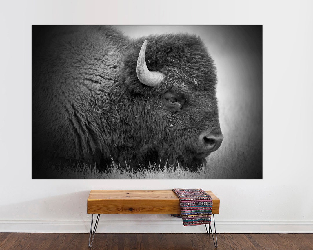 Black and White Bison Canvas Print, Ready to Hang - Etsy