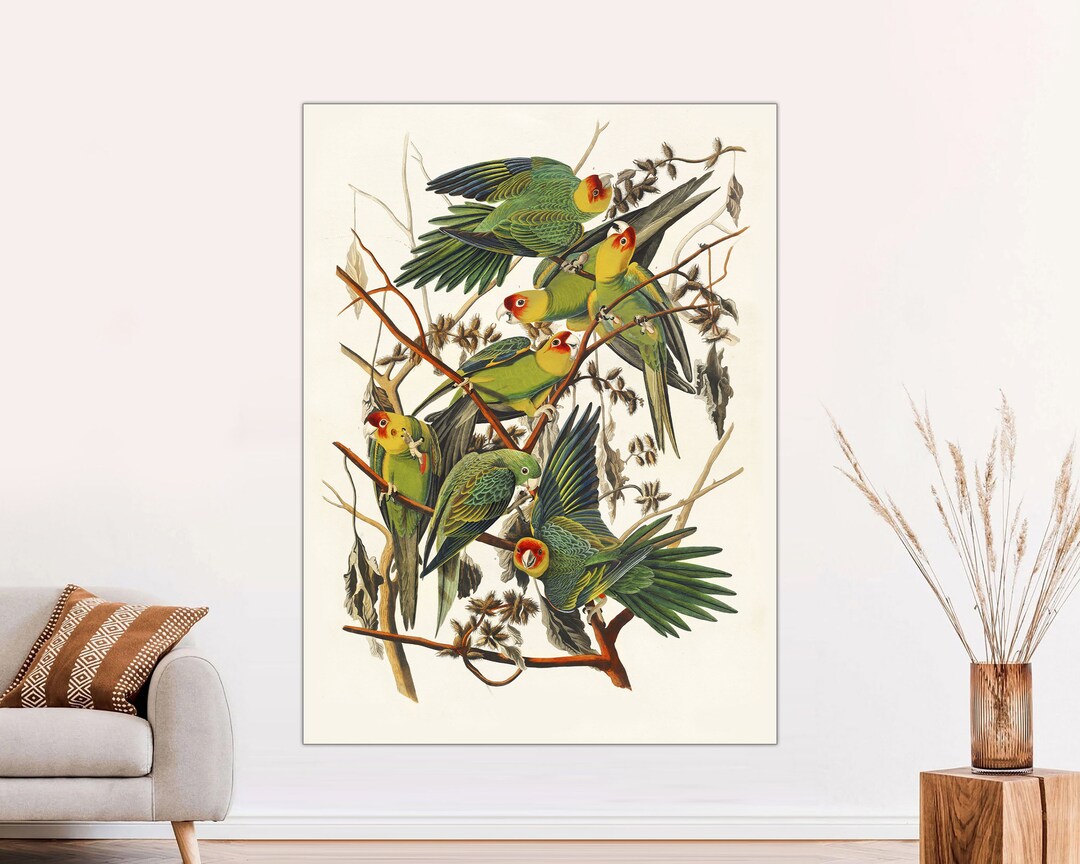 Vintage Retro Tropical Macaw Parrot Bird Painting, Colorful Parrot ...