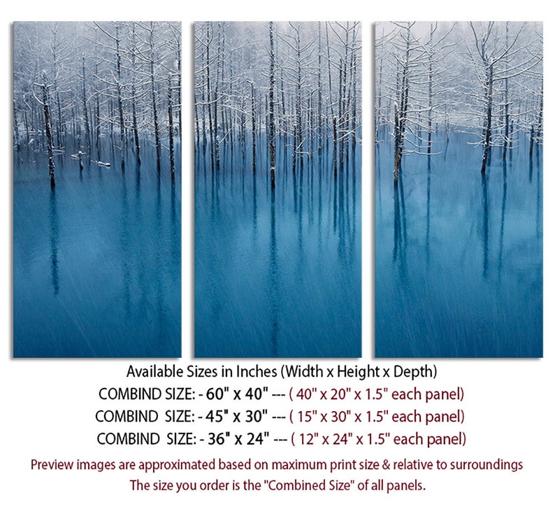 3 Panel Split triptych Canvas Print. Winter Forest Snow - Etsy