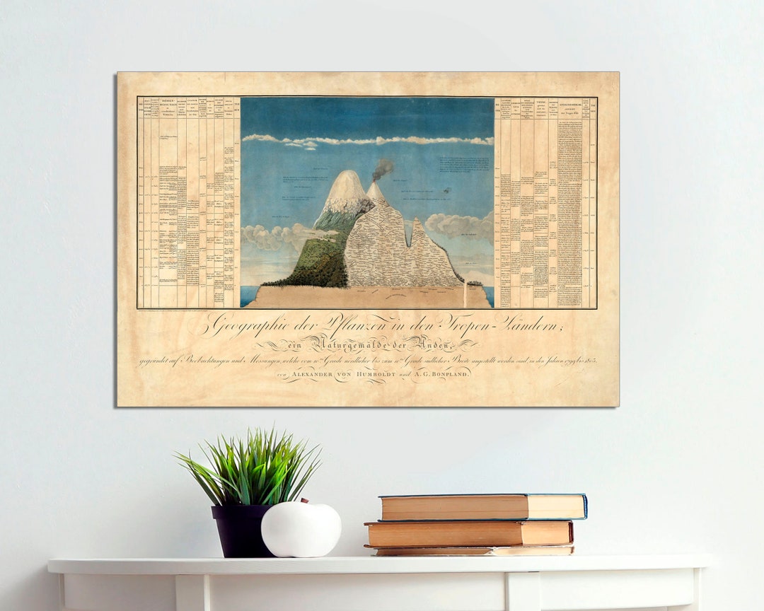 CANVAS Print Ready to Hang, the Geography of Plants Alexander Von ...