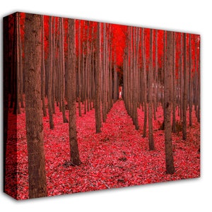 Beautiful Red Tree Park Print,red Leaves Forest Canvas Wall Art ...