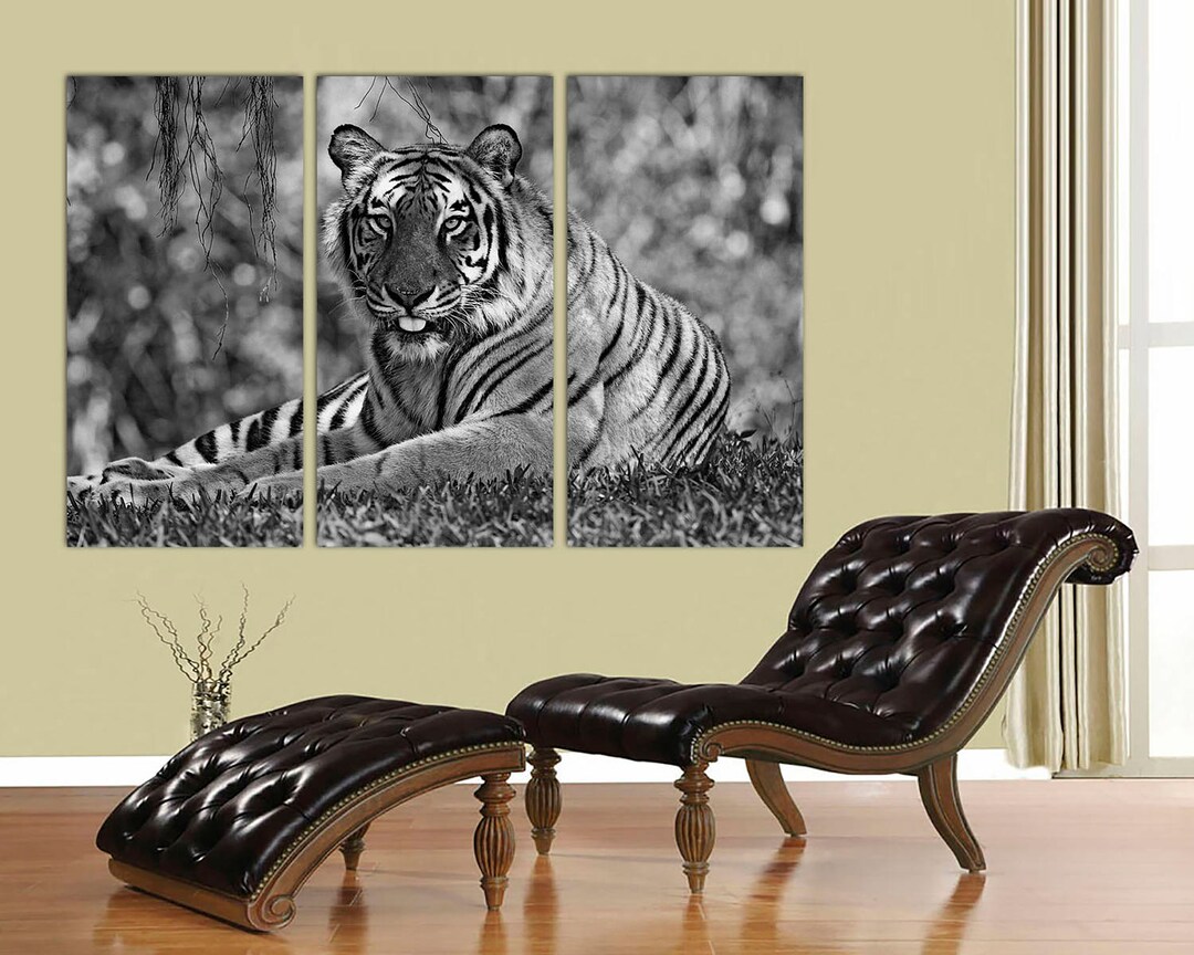3 Panel Canvas Split, Black and White Portrait of a Majestic Sumatran ...