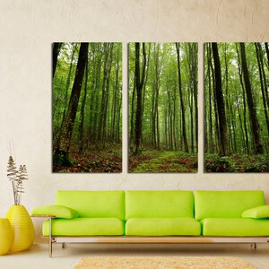 3 Panel Split, Triptych Canvas Print of Trees in Forest, Spring Trees ...