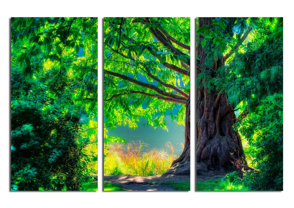 Beautiful Forests Green Leaves Forest Forest Art Canvas - Etsy