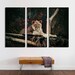3 Panel Split Triptych Canvas Print of Trees in Forest. - Etsy