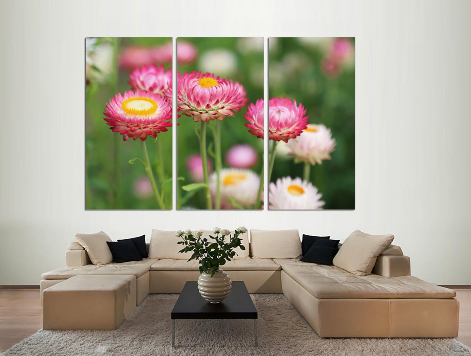 3 Panel Canvas Split Field of Daisy Photo Print on Canvas - Etsy