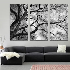 Trees in Black and White Canvas Print Wall Art - 3 Panel Split ...