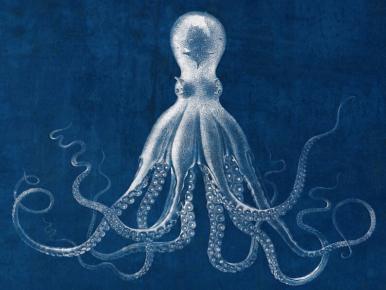 Octopus Canvas Print, Nautical Wall Art, Lord Bodner Octopus - Etsy