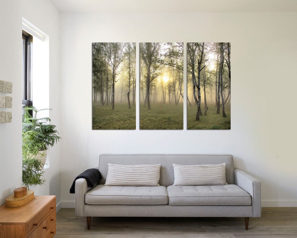 Tree Birch Tree Forest Canvas Print Wall Art 3 Panel Split - Etsy