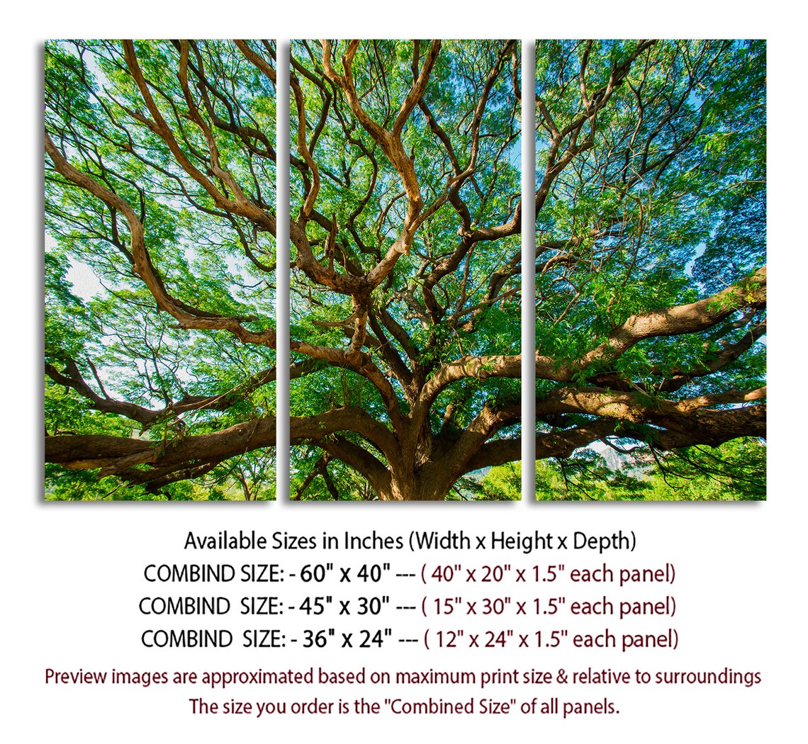 3 Panel Canvas Split Tree branches with leaves in sunlight | Etsy