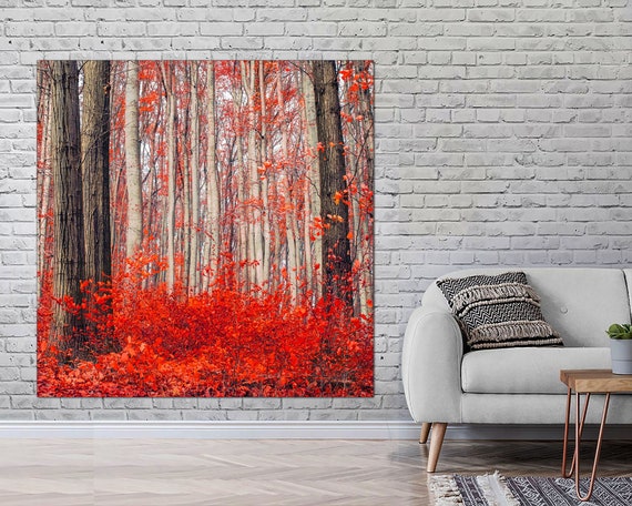 Autumn Red Tree Wallpaper