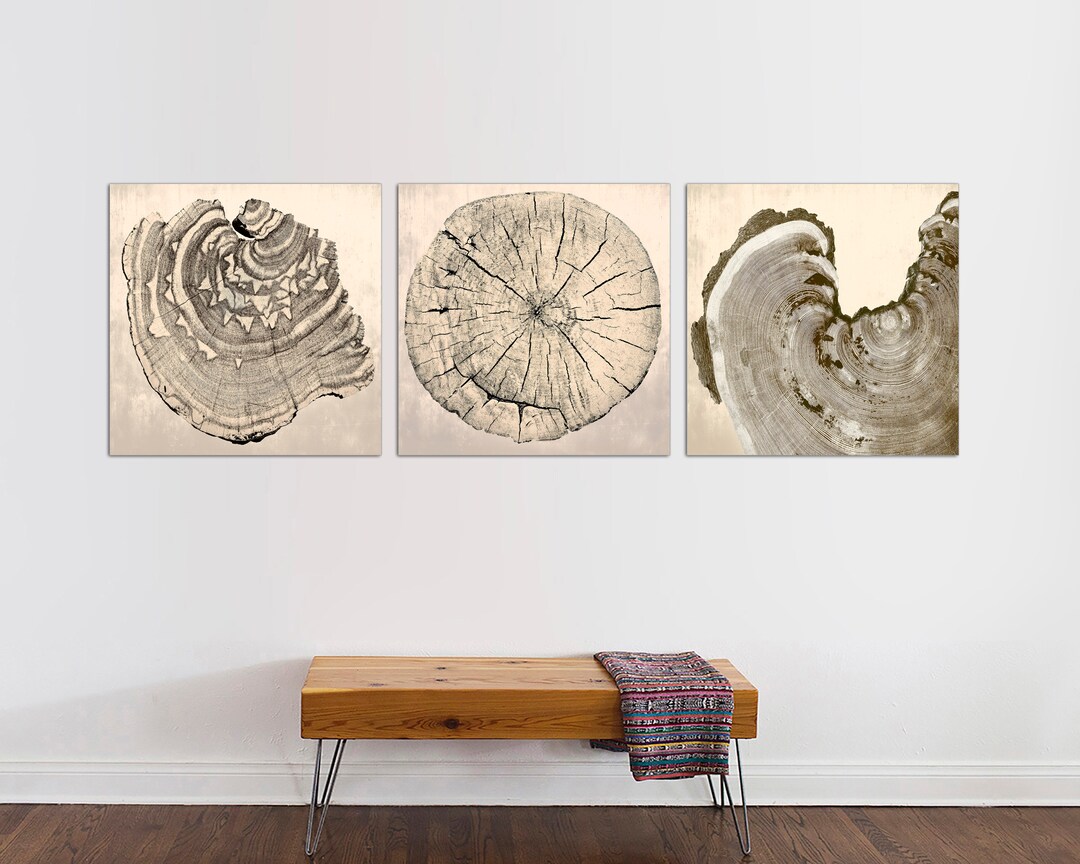 Set of 3 Prints, Tree Ring Print, Tree Stump Print, Tree Ring Wall Art ...