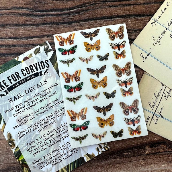 Bug Nail Decals - Etsy