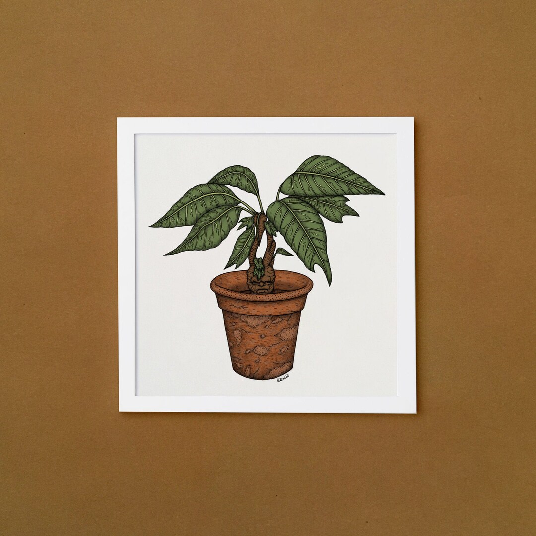 Harry Potter Mandrake Print - Etsy