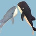 Stuffed Animals Pattern Whale Pattern Whale Sewing Pattern Soft Toy ...