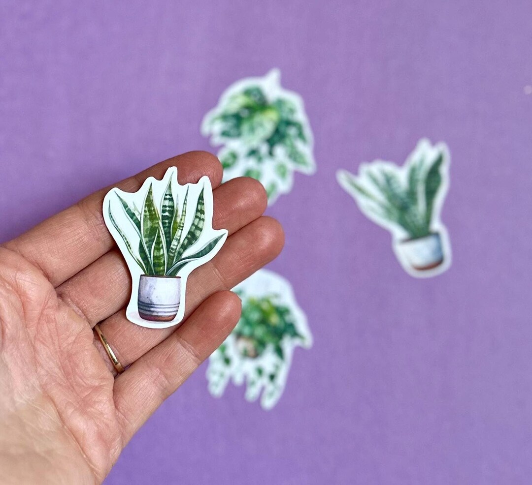 Cute Little Plant Sticker Pack Snake Plant Swiss Monstera Pothos ...