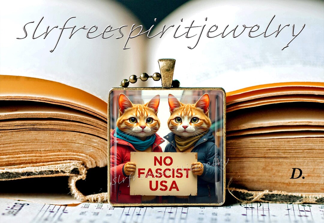 Tax the Rich Cat Brooch, Support Democracy, Resistance Movement, Fight ...