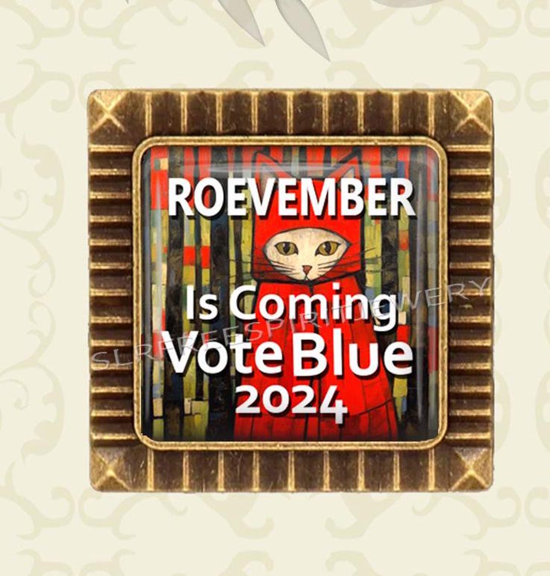 Roevember is Coming Pin, Freedom, Choice, Cat With Red Cape, Vote Blue ...