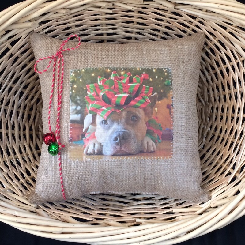 Christmas Pibble - Etsy