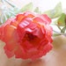 Mini Coral Red Peony FB0062-01 Silk Flower Artificial - Etsy