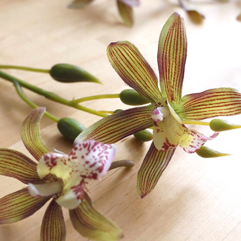 Artificial Orchids - Etsy