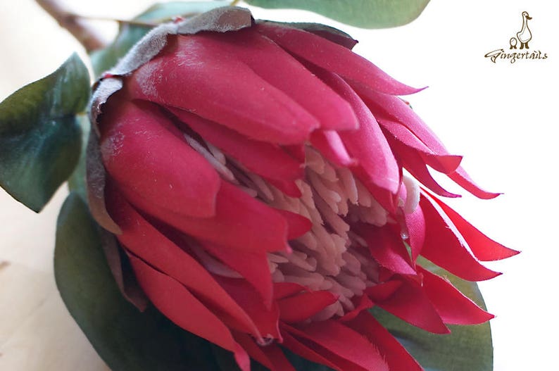 Large Red Protea FB0076-03 artificial flower flower | Etsy