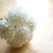 Mini Ivory Mums Bouquet FB0064-06 Artificial Flower Flower Headpiece ...