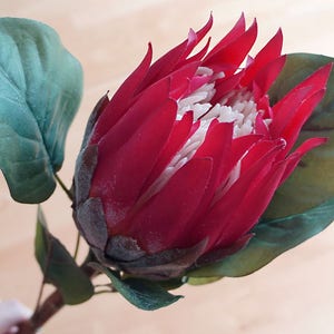 Large Red Protea (FB0076-03) | Artificial Flower – Red Flower ...