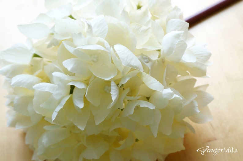 Vintage Style Pastel Yellow Hydrangea FB0046-03 Silk - Etsy