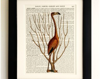 ART PRINT on old antique book page Pink Rose Botanical | Etsy