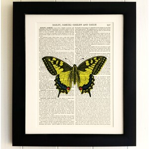 Set of 6 Art Prints on Old Antique Book Page - Butterflies, Vintage ...