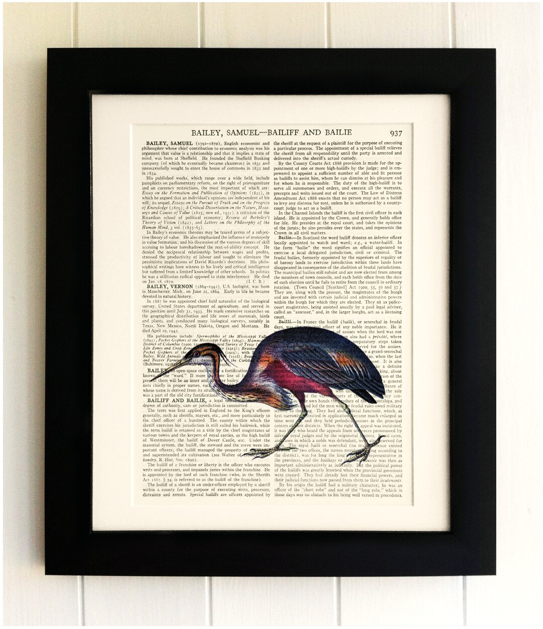 ART PRINT on Old Antique Book Page - Vintage Bird, Vintage Upcycled ...