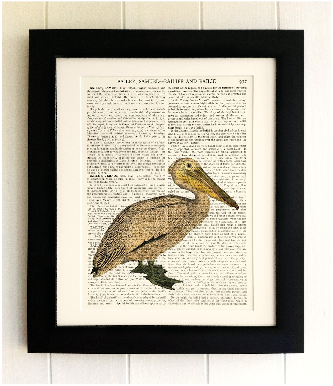 ART PRINT on Old Antique Book Page - Vintage Bird, Vintage Upcycled ...