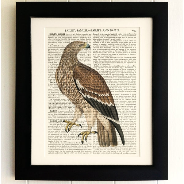 Bird Dictionary Art - Etsy