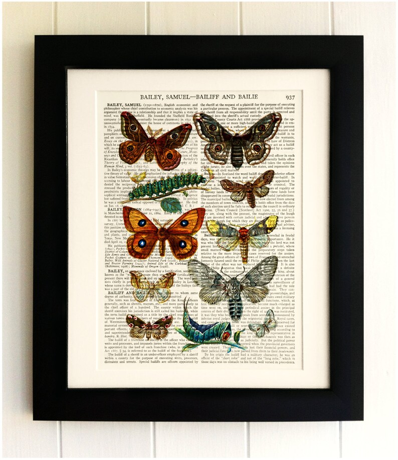 ART PRINT on Old Antique Book Page Butterflies/caterpillars - Etsy