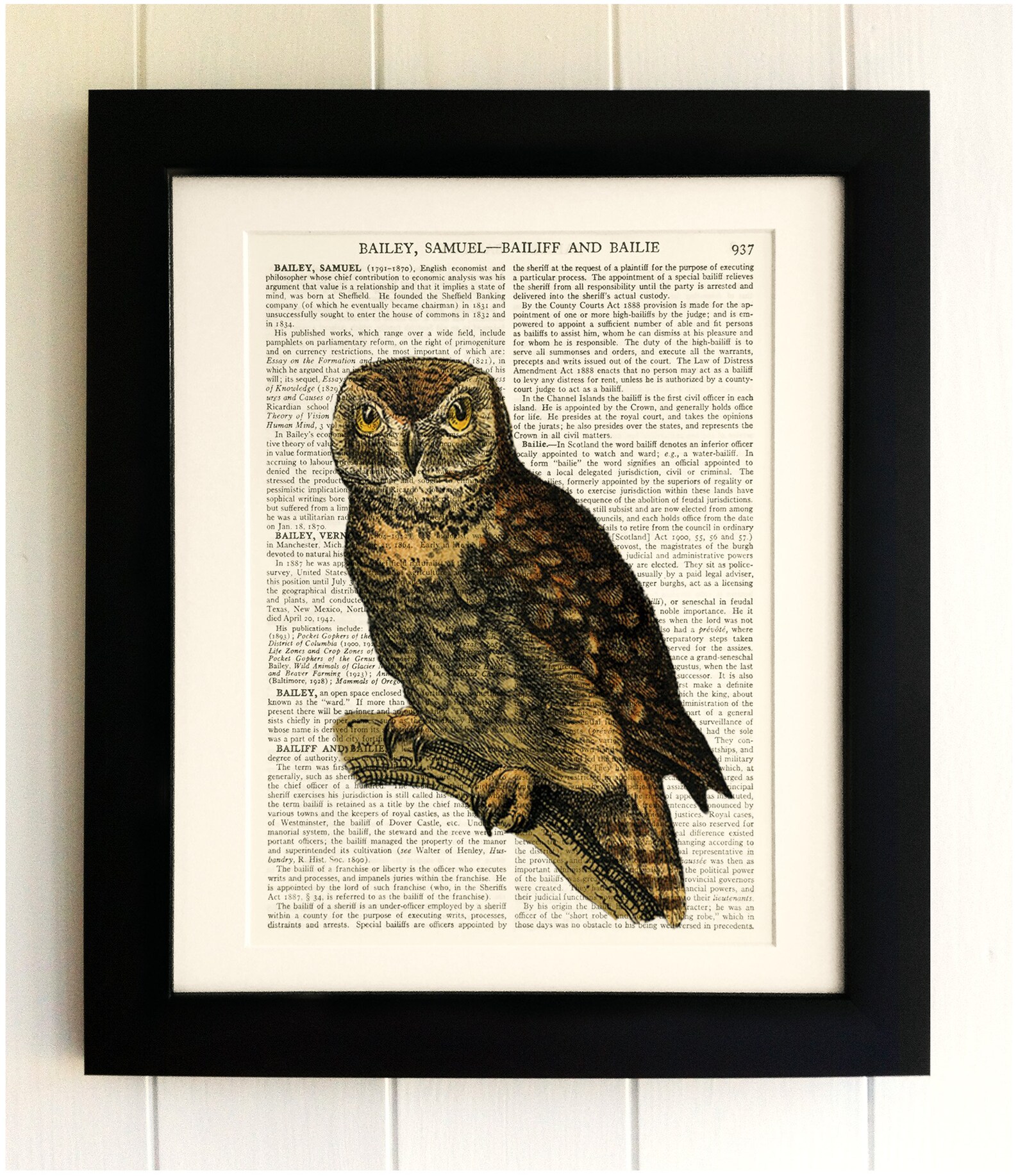 Set of 6 Art Prints on Old Antique Book Page - Owls, Vintage Wall Art ...