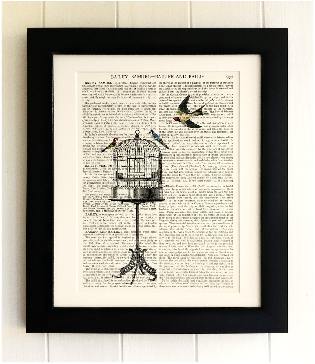 ART PRINT on Old Antique Book Page - Tall Bird Cage, Vintage Upcycled ...