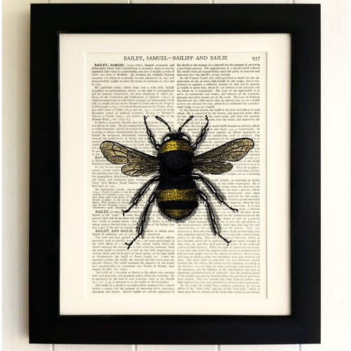 ART PRINT on Old Antique Book Page Bumble Bee Insect - Etsy