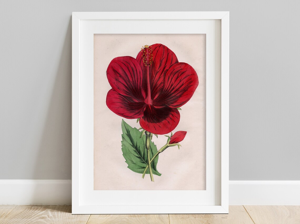 Vintage Style Floral Print A4 UNFRAMED Fabulous vintage | Etsy